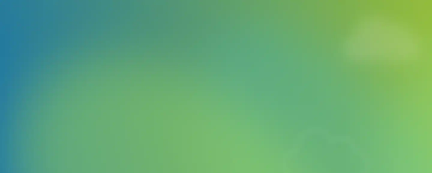 Establishing a Shopify Plus Store Quickly with Valtira - Valtira